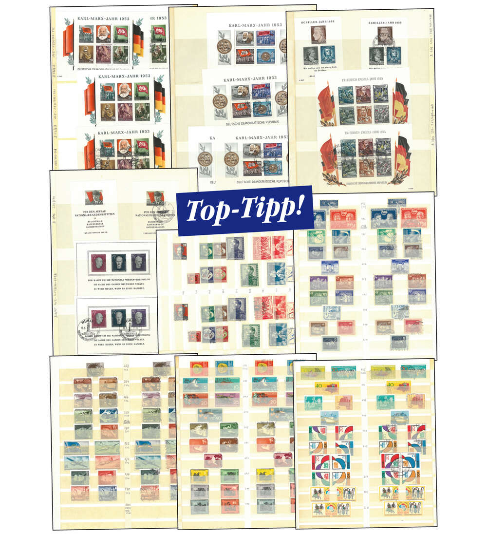 DDR - Doppelsammlung 1949 - 1990 Briefmarke - Goldhahn - 502852